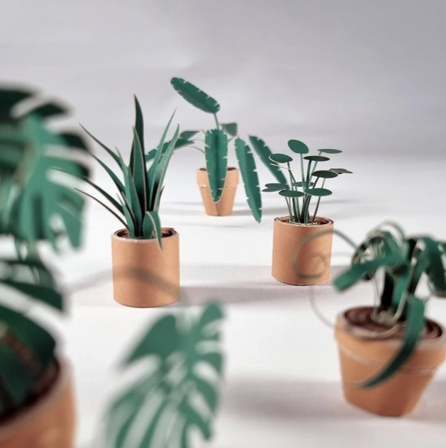 Paper Plants - Little Obsessed