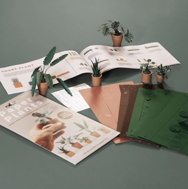 Paper Plants - Little Obsessed