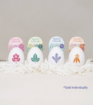 Hatch & Grow Seed Egg - Little Obsessed