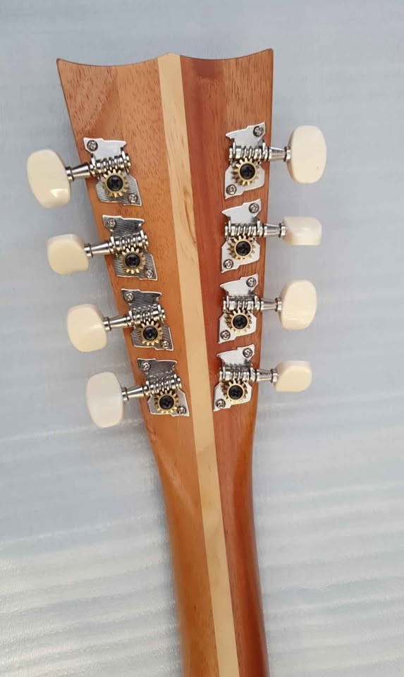 8 string Ukulele