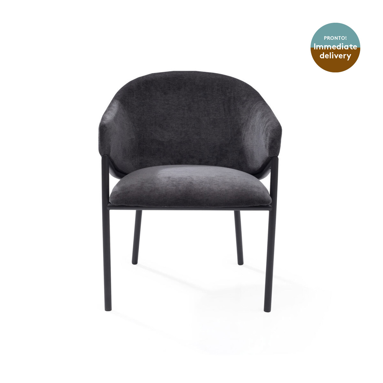 Chairs - Catalano Interiors