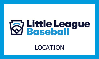 Specialty Custom Little League Baseball Logo Flag - Little League ...