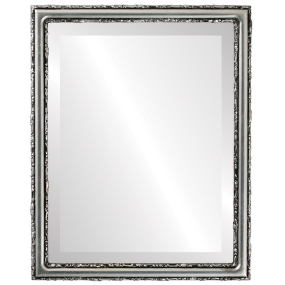Decorative Silver Rectangle Mirrors from $151 | Free Shipping