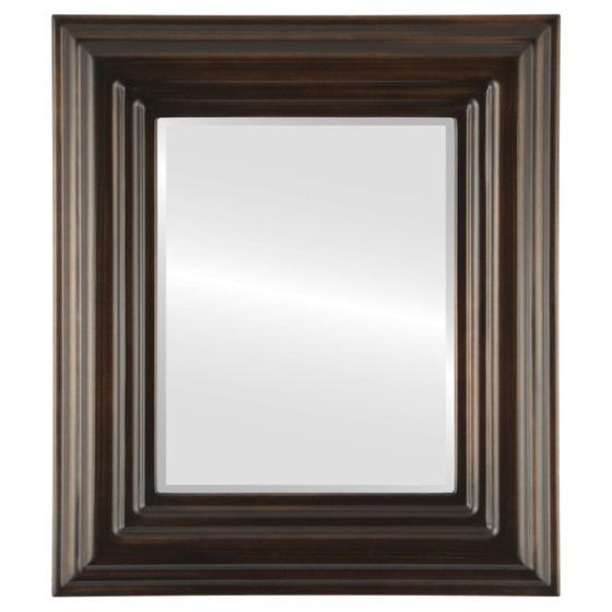Contemporary Rubbed Bronze Rectangle Mirrors from $0 | Free Shipping