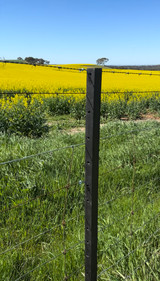 Buy EnduraPost Star Picket Fencing Online Australia