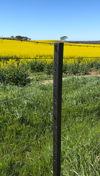 Buy EnduraPost Star Picket Fencing Online Australia