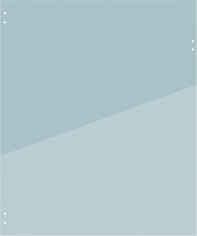 890mm W x 1200mm H Master Range toughened glass gate