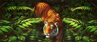 Siberian Tiger Chasing - RJW Motorsports