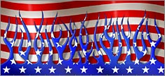 Patriotic Flames - RJW Motorsports