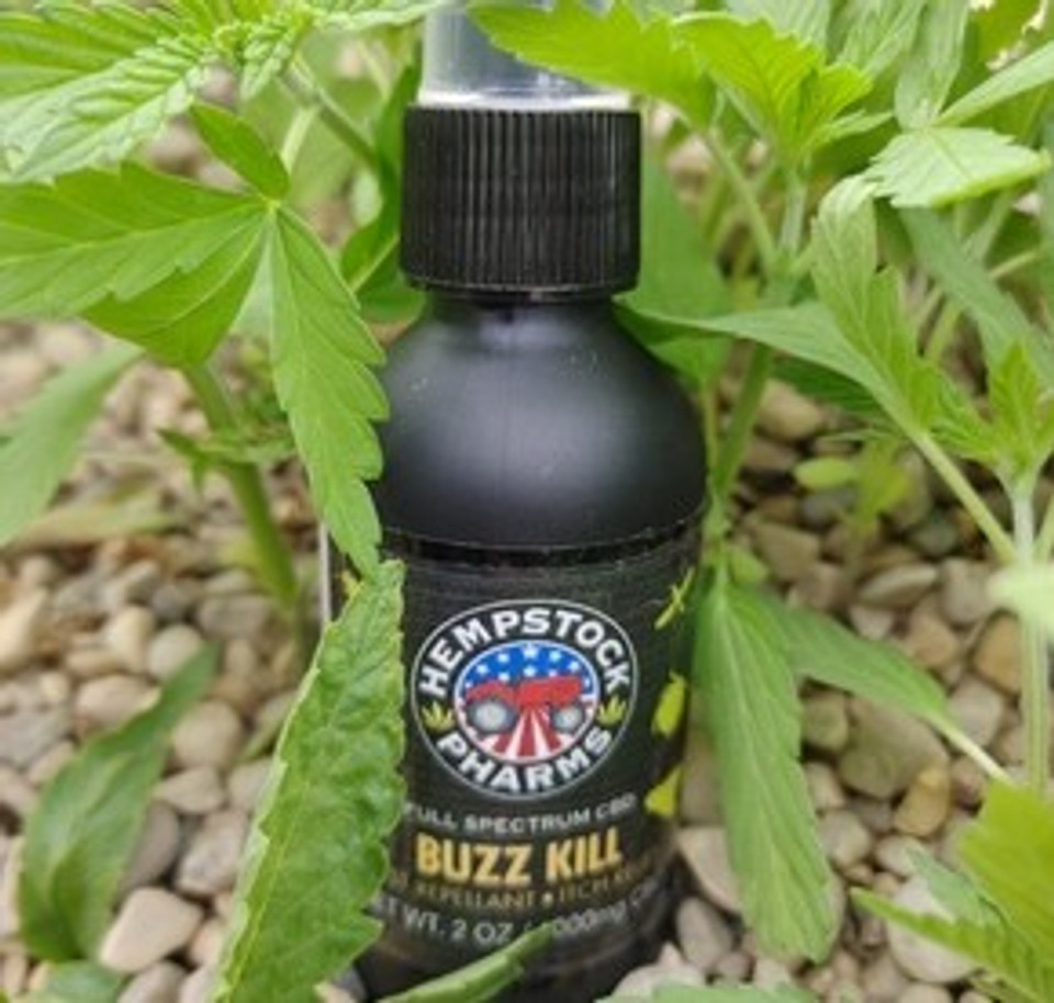 Buzz Kill buzz-kill