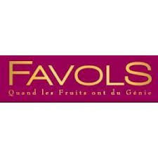 Favols 100% Fruit Strawberry Preserves 240g | Simply Gourmand