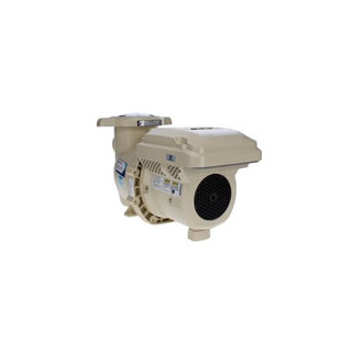 Pentair IntelliFlo3 VSF 3.0 HP 208-230V 011075