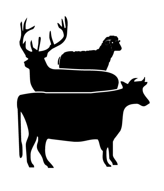 Beef, Venison & Lamb Prey Model Blend - Raw Dog Food For Sale