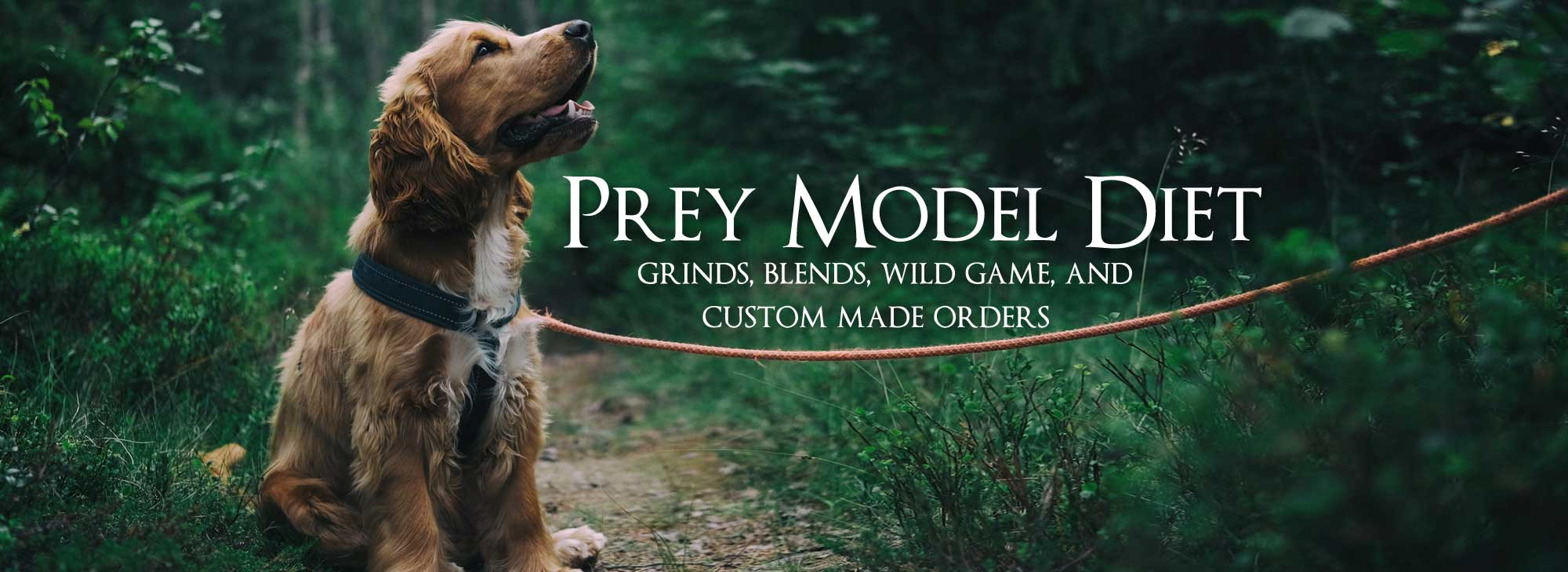 Best Raw Dog Food Home Delivery - Prey Model Raw Paw Lickin Good