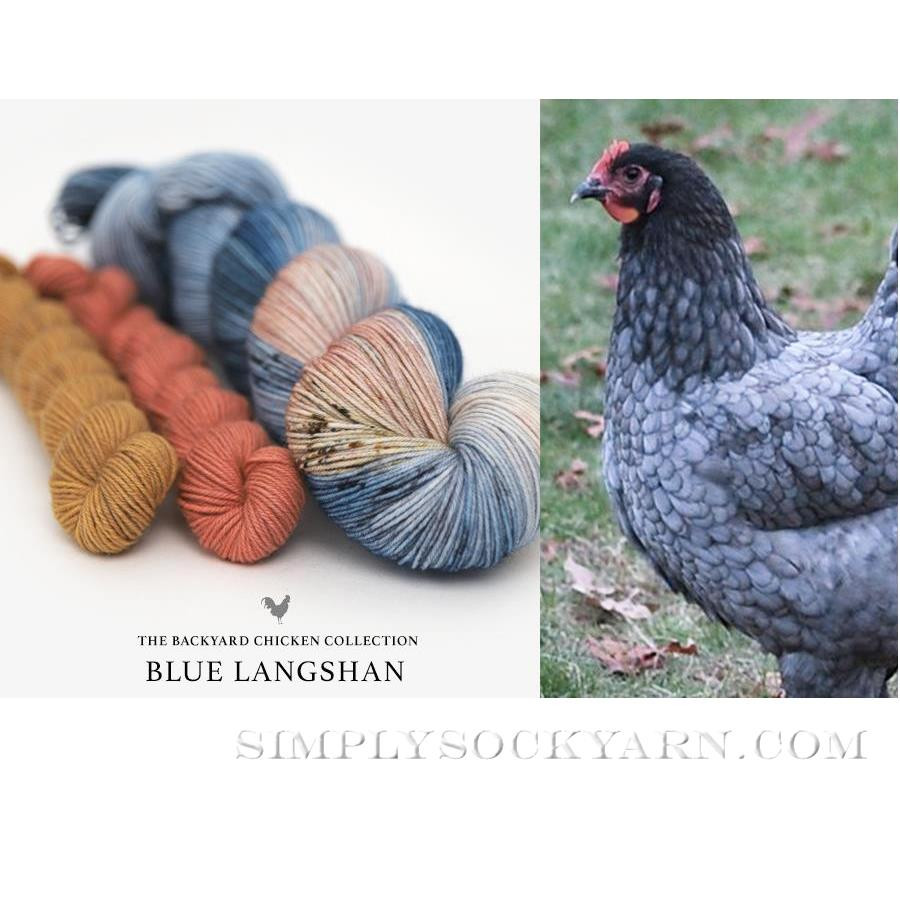 HLoco BYCC Blue Langshan Hen - Simply Socks Yarn Company