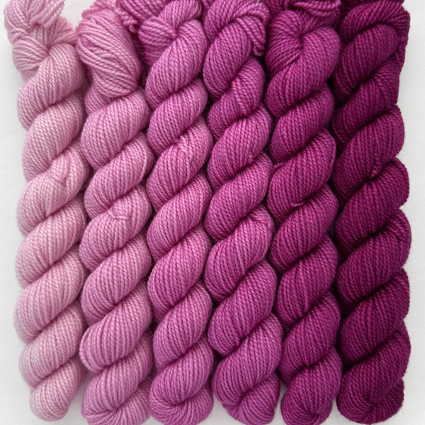 FS Mini Set Razz - Simply Socks Yarn Company