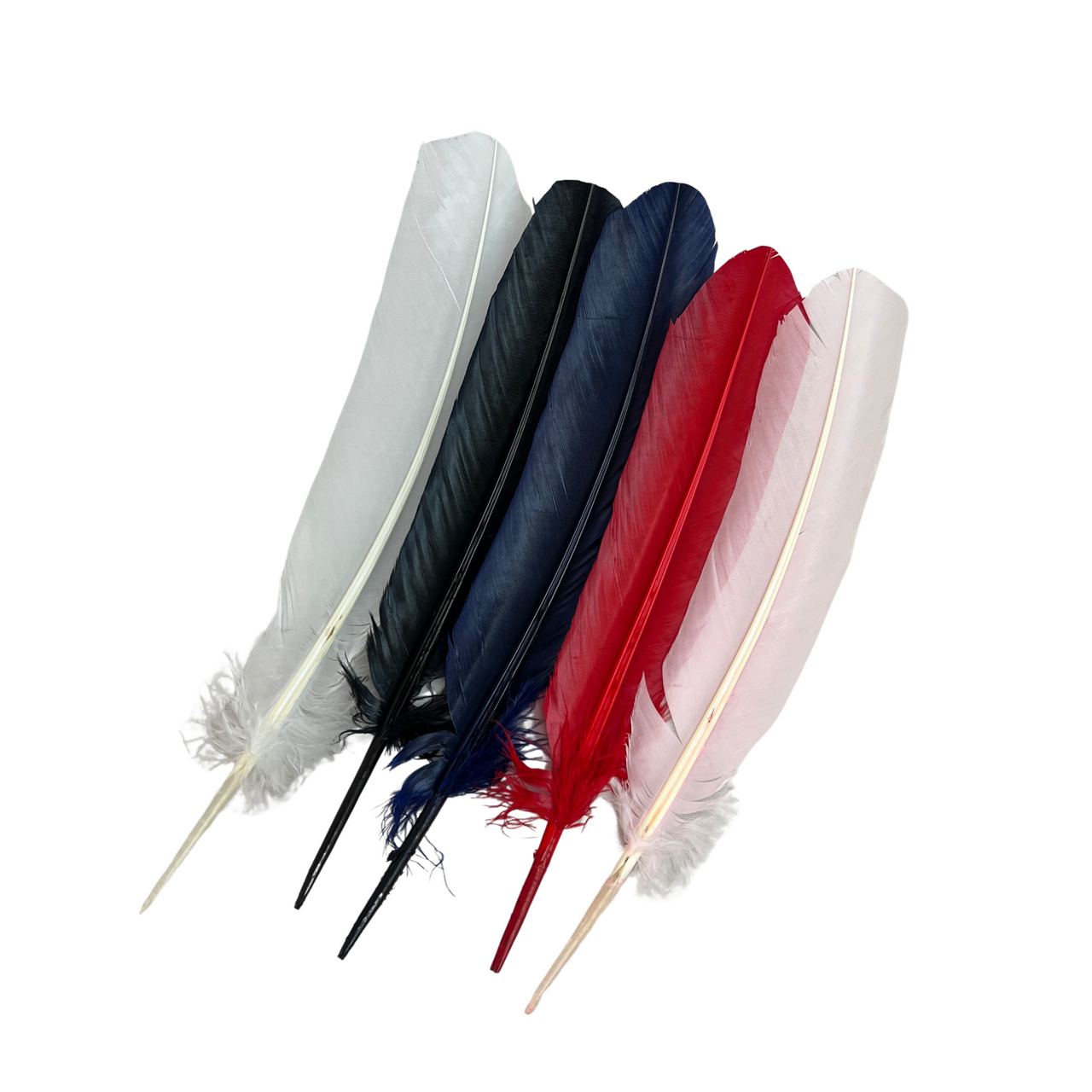 Turkey Broad Feather - Hatters Millinery Supplies