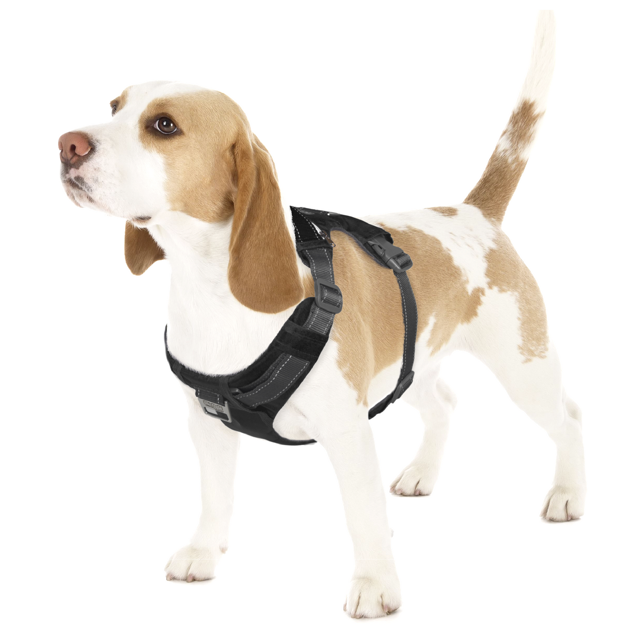 Shop All - Dog - Gear - Outward Hound