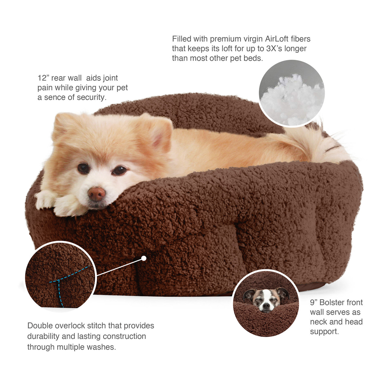 How To Make Your Dog A Cuddler