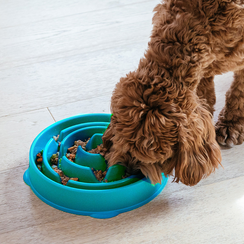 Nina Ottosson by Outward Hound A-Maze Ball Dog Puzzle Treat Ball Dog Enrichment Toy, Green, One-Size