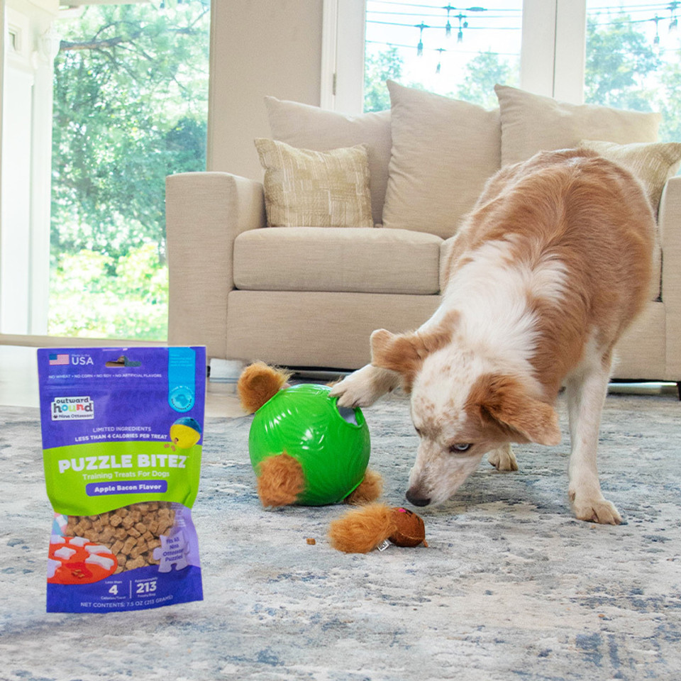 Invincibles Durable Plush Dog Toys