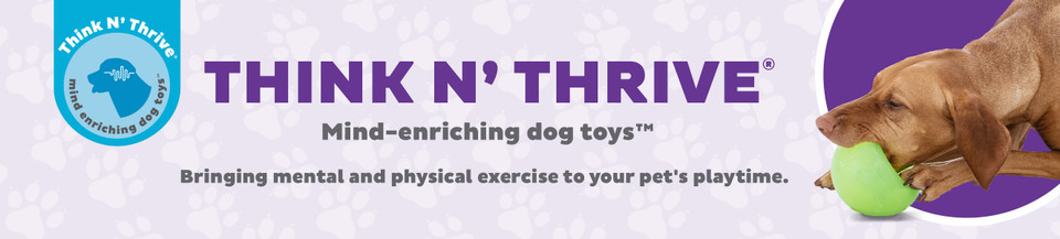 Outward Hound Home - Shop dog toys, chew toys, dog gear - outwardhound.com