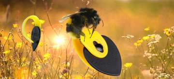 The Vibrant World of Fred Kelly Bumblebee Thumbpicks - the f-hole