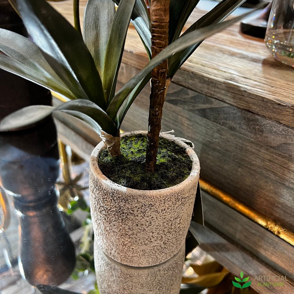 Baby yucca in cement pot 43cm - Artificialplantshop.com.au