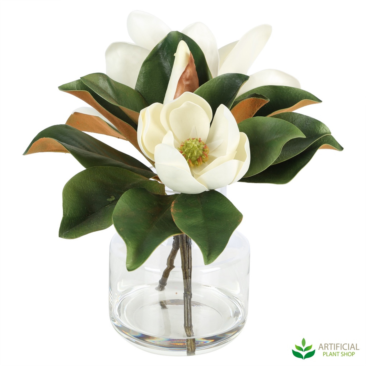 Magnolia In Glass 35cm