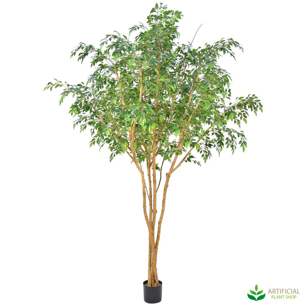 Ficus tree 3.5m - Artificialplantshop.com.au