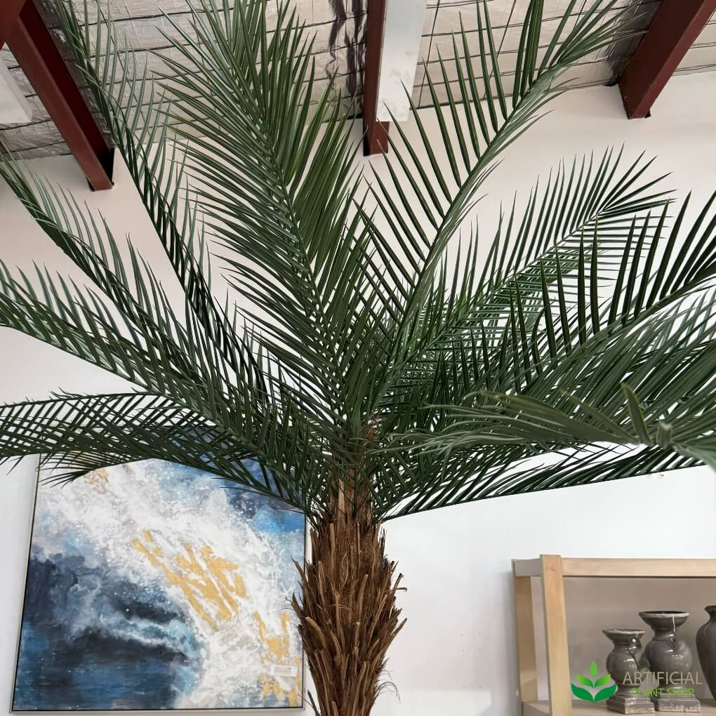 Phoenix palm 3m - Artificialplantshop.com.au