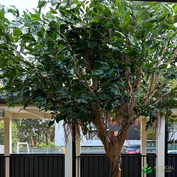 Giant ficus umbrella tree 3.5m - Artificialplantshop.com.au