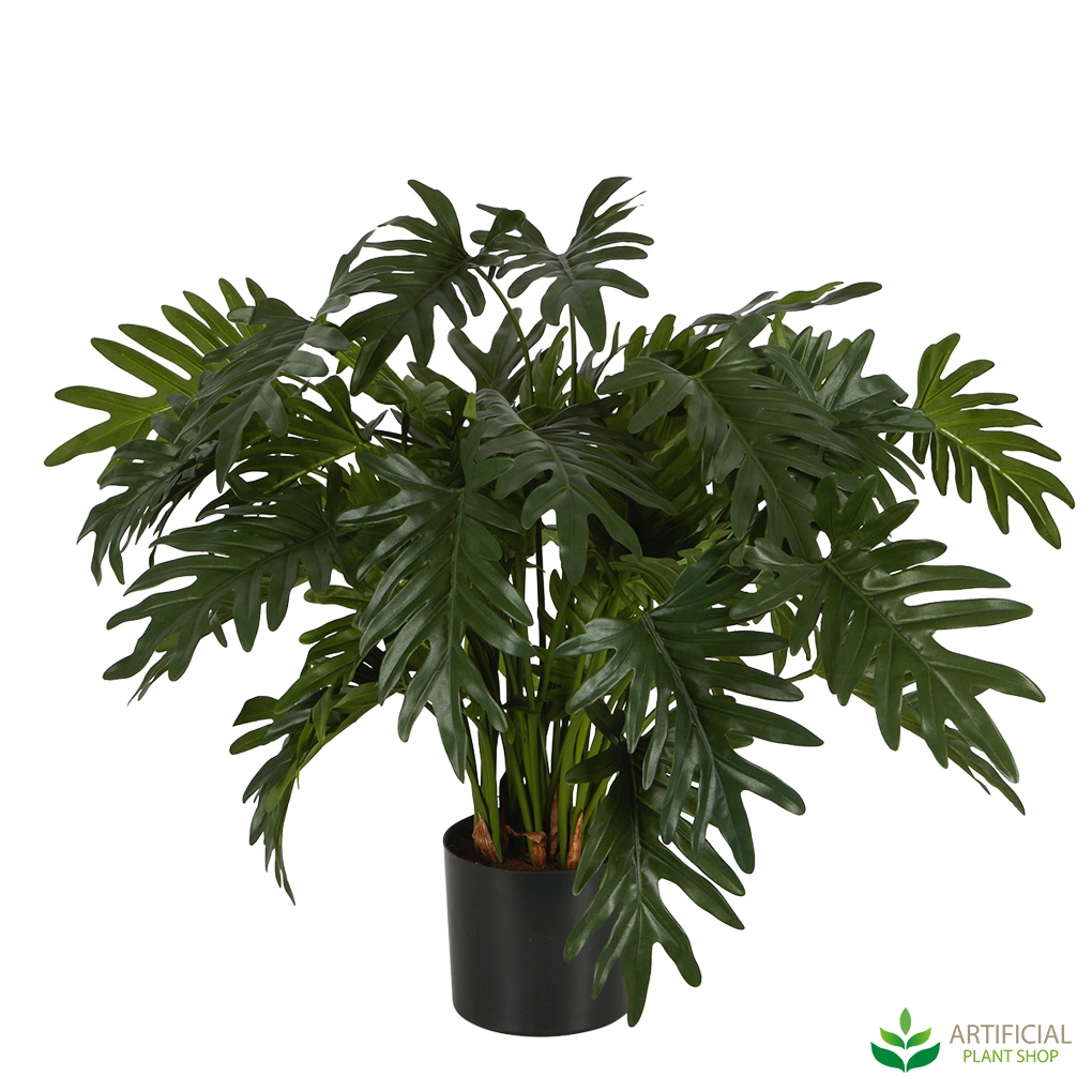 Split Philo Bush 75cm