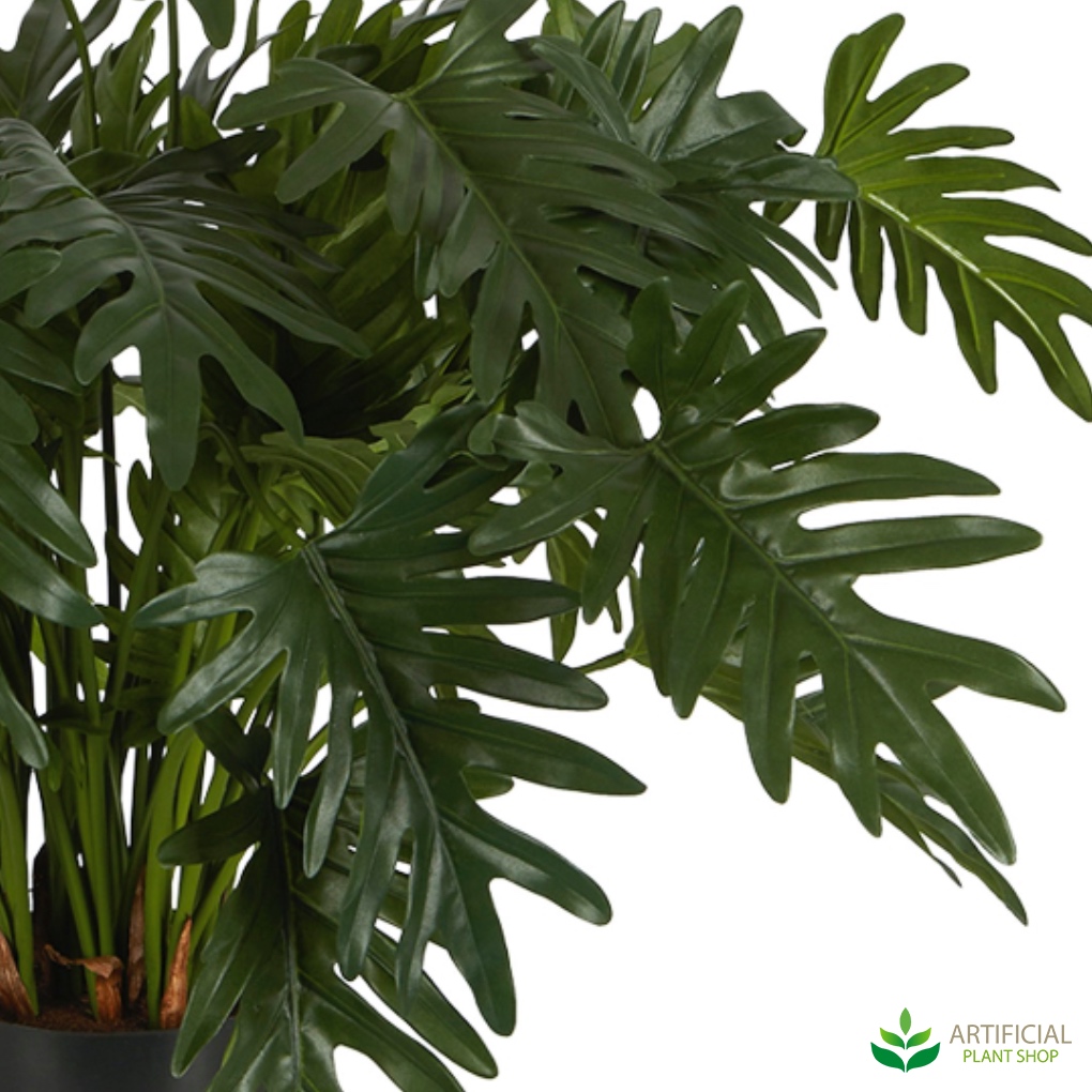 Split Philo Bush 75cm