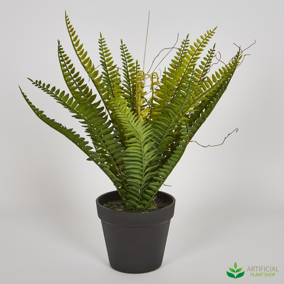 Fern potted 28cm (set of 3) - Artificialplantshop.com.au