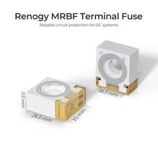 30A Terminal Fuse + M8 Terminal Bolt