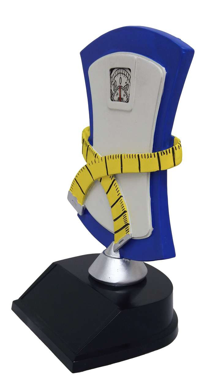 Weight Loss Trophy - Engraved Biggest Loser Award