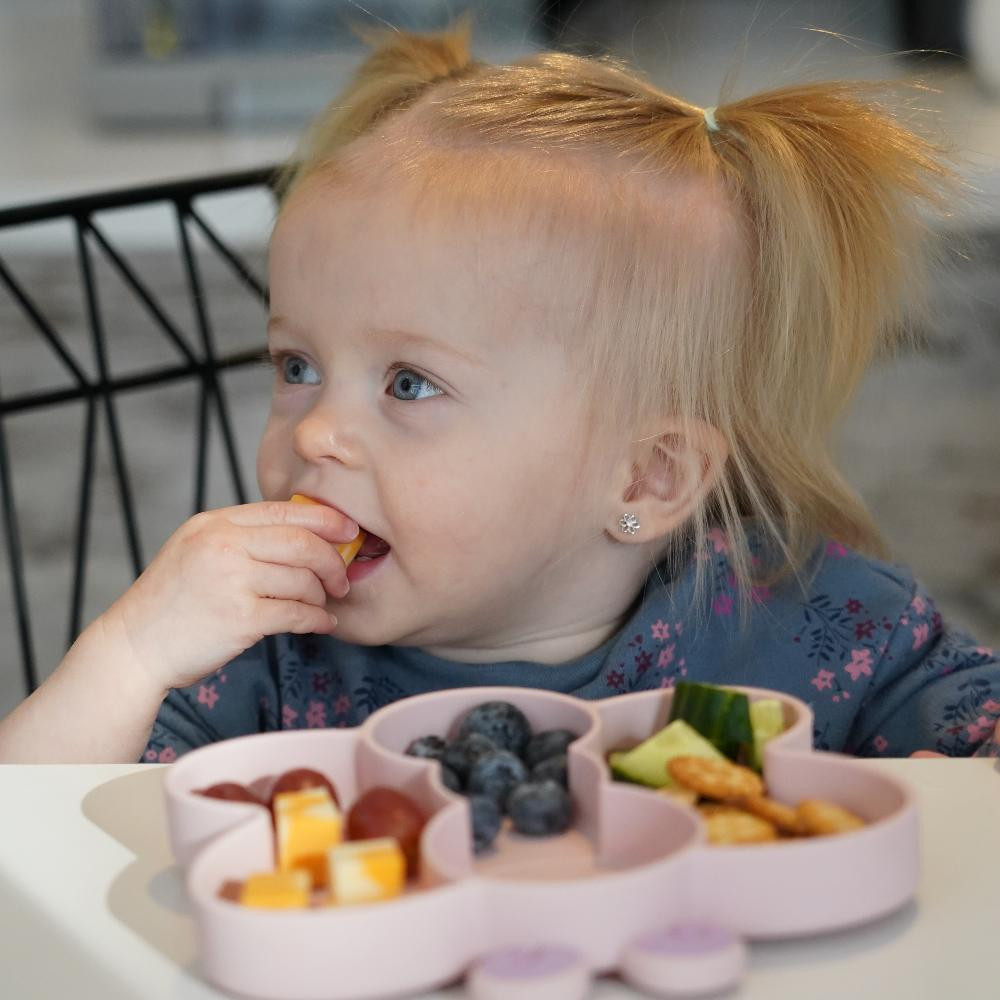 Melii Silicone Divided Suction Plate - Butterfly | Melii | Little Bird ...