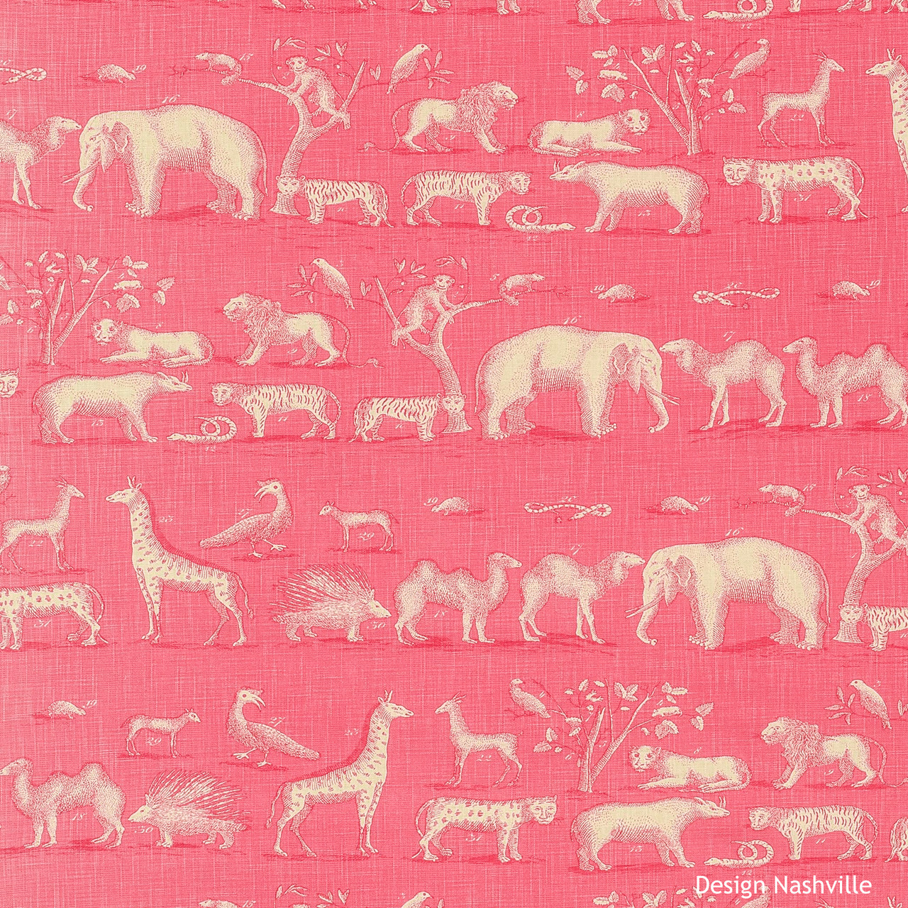 Animal Menagerie hot pink