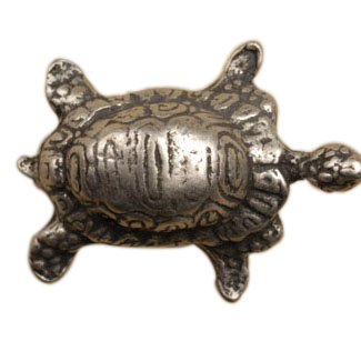 Get Anne at Home 390 Turtle Knob Today