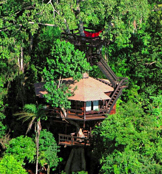 16 Experts Reveal 27 "Must Have" Treehouse Features - The Knobs Company