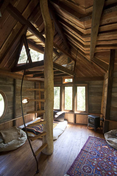 16 Experts Reveal 27 "Must Have" Treehouse Features - The Knobs Company