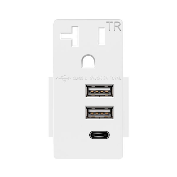 Type-C and Dual Type-A USB 20A Module, 2 USB Type-A Ports, 1 USB Type-C ...