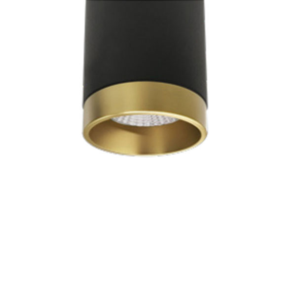 2-Inch CMC2 Ceiling Mount Cylinder Trim
