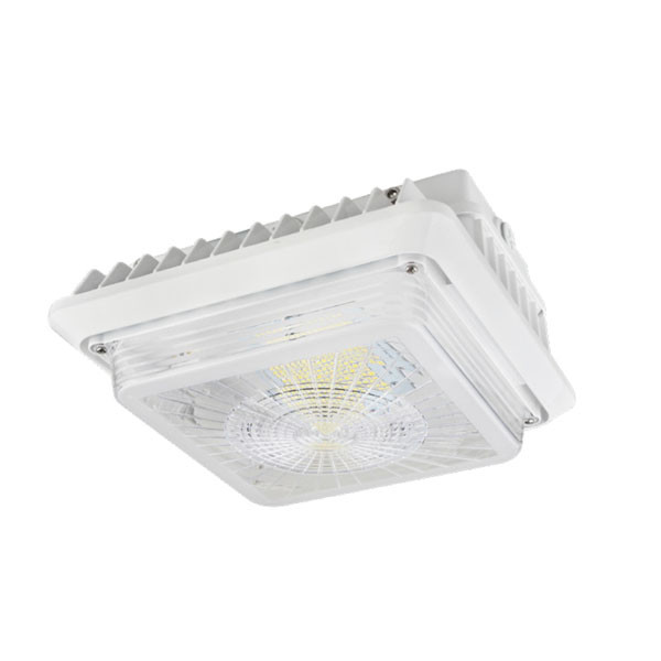 100W LED Garage/Canopy Light - RelightDepot
