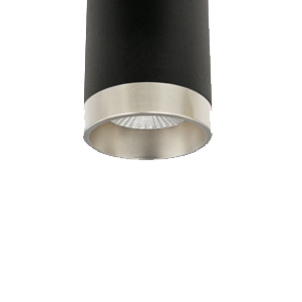 2-Inch CMC2 Ceiling Mount Cylinder Trim