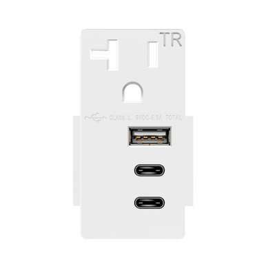 Interchangeable USB Charger Module with Tamper-Resistant Receptacle, Gray