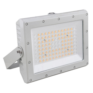 EXPF Series Outdoor Light, 100W, 5000K, 14000LM, Clear Glass Lens ...
