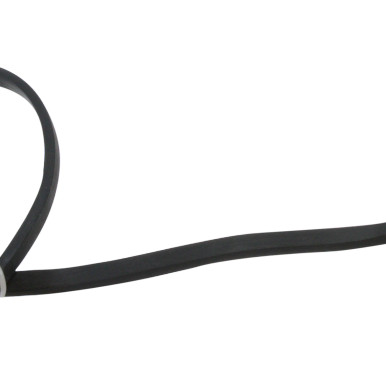 Festoon String Light Electrical Cable, Black, Wet Location
