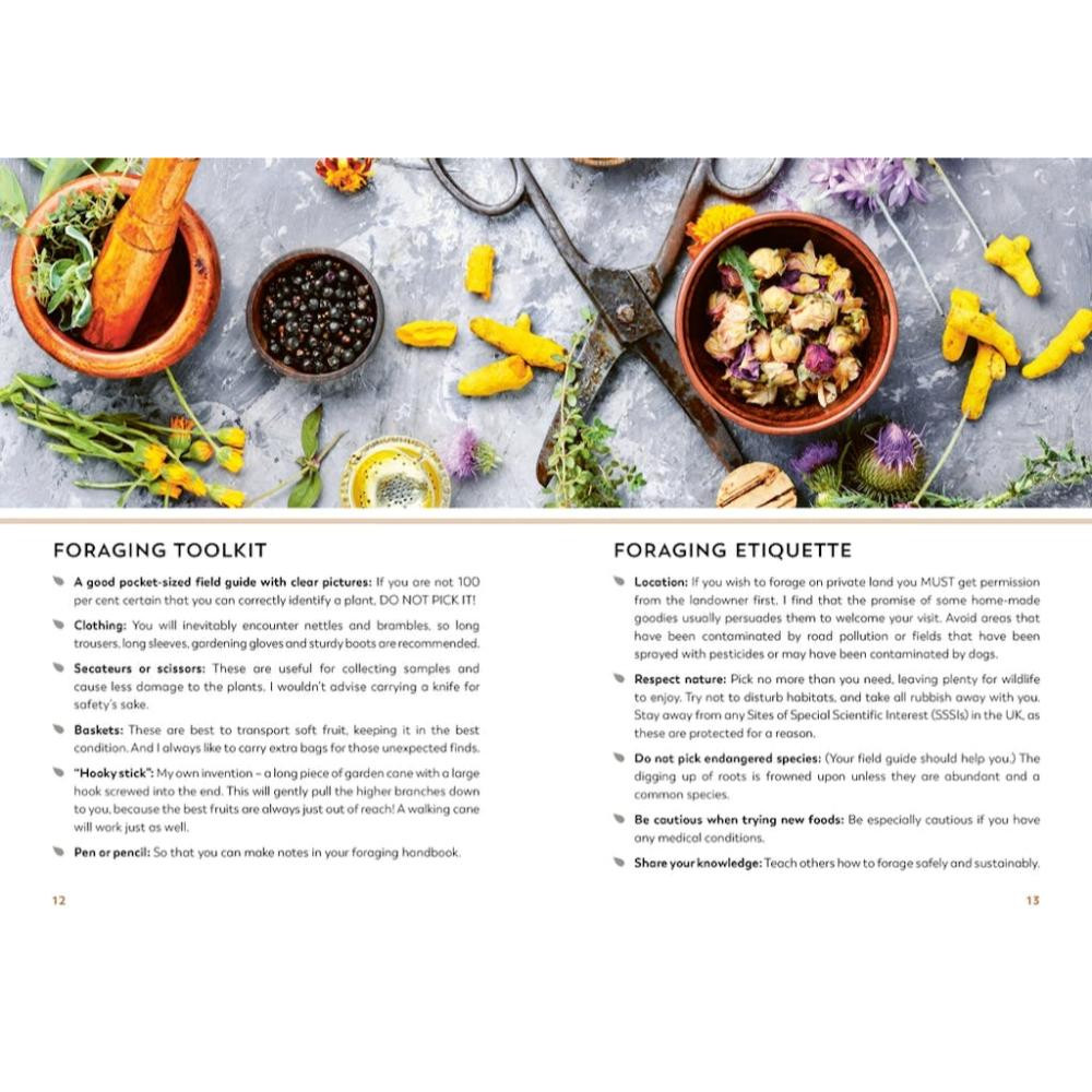 Book - The Hedgerow Apothecary Foragers Handbook - Uncle Festers